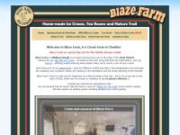 Blaze Farm - The Classic Guide