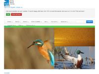 RSPB Greylake Reserve - The Classic Guide